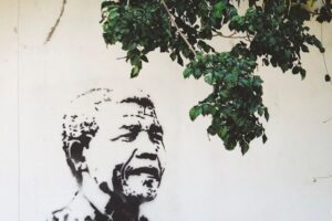 What Did Nelson Mandela Do to Build Democracy in South Africa? A Step ...