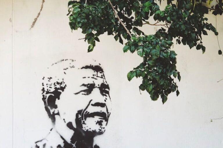 What Did Nelson Mandela Do to Build Democracy in South Africa? A Step ...