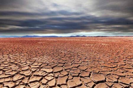 What Are the Effects of Drought on the Environment: A Closer Look - The ...