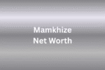 Mamkhize net worth 2025: A Comprehensive Analysis of Wealth and ...