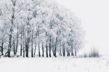 Does It Snow in Africa? Rare Snow Zones, Facts & Climate Secrets 2025